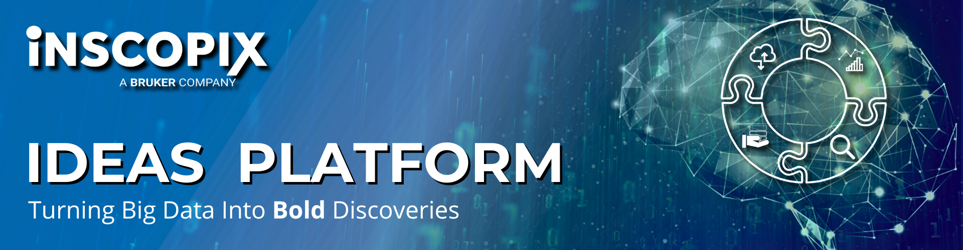 The IDEAS Platform Enables Powerful Analyses for Neuroscience Research